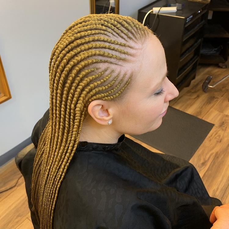 The Lion of God’s Braids - Image 1